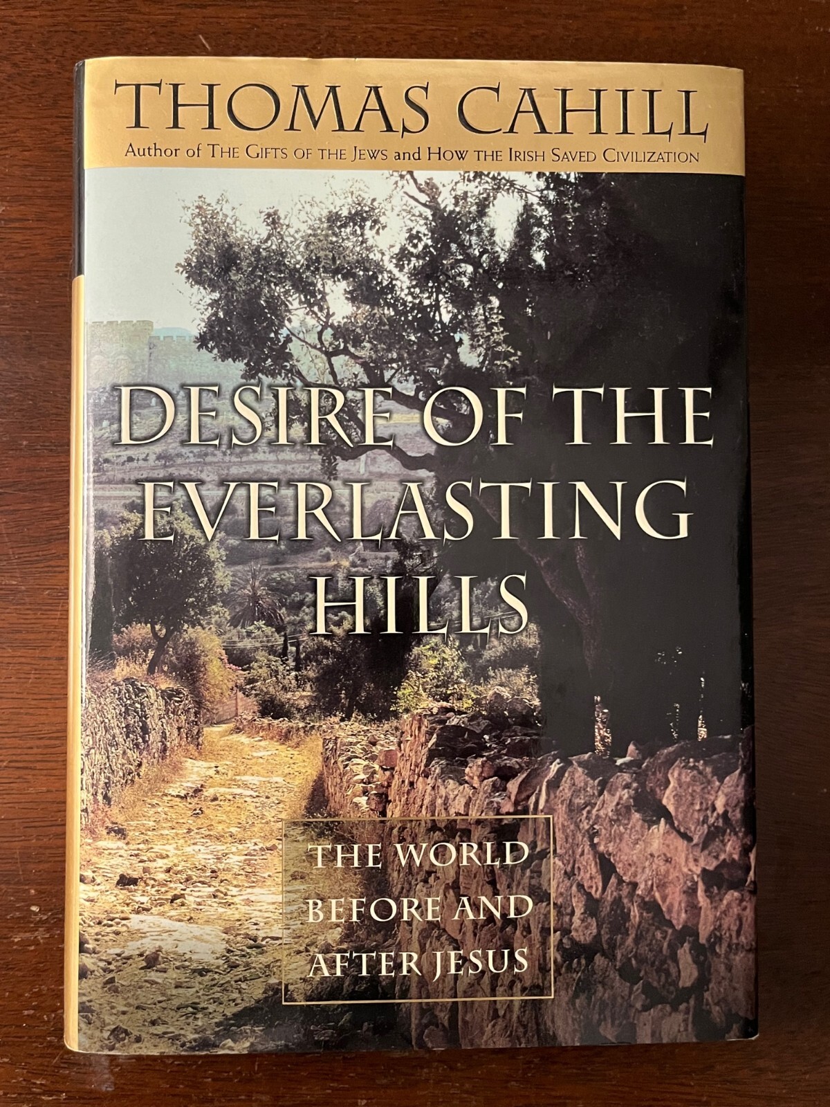 Thomas Cahill Desire of the Everlasting Hills 1999 Hard Cover | eBay