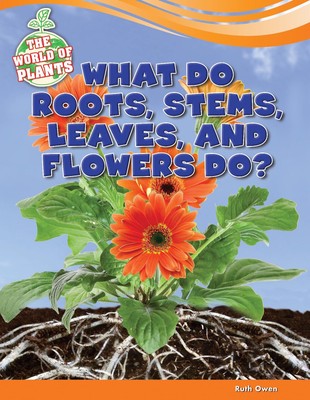 What Do Roots, Stems, Leaves, and Flowers Do? (The World of Plants ...