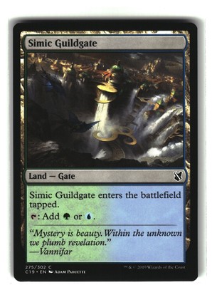 SIMIC GUILDGATE Commander 2019 #275 C19(NM+)(MTG) | eBay