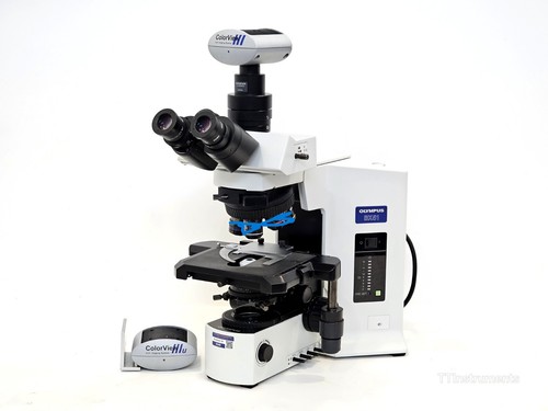 Olympus BX51TF Microscope BX51 with WHN10X/22 Eyepieces & ColorView Camera | eBay
