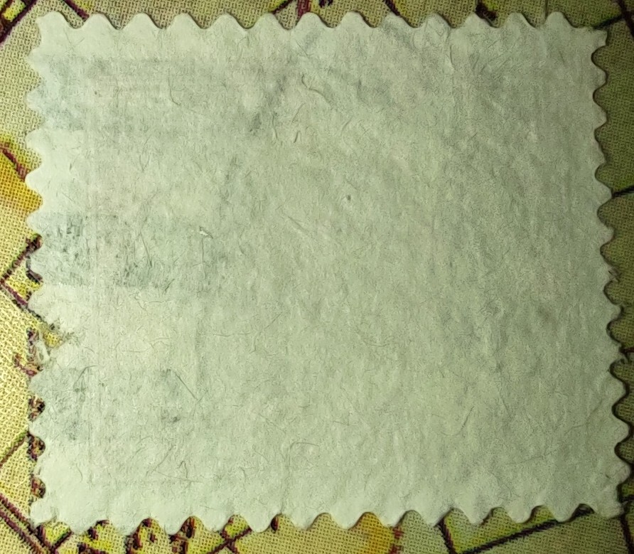 RARE 2013 INVERTED JENNY ERROR STAMP, WITH MANY ERRORS. POSTMARKED 2014 ...