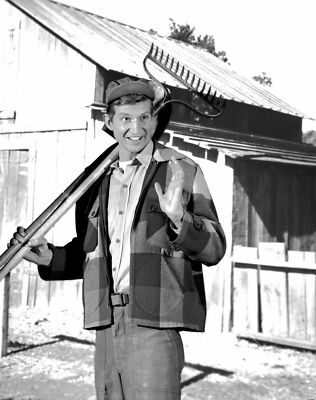 Green Acres Tom Lester as Eb Dawson 8x10 Glossy Photo | eBay