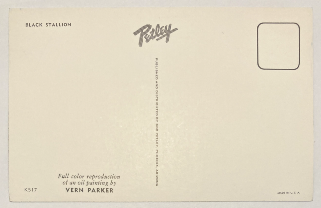 Black Stallion, Full Color Reproduction of Oil Painting by Vern Parker ...