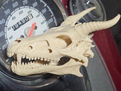 small Dragon head skull bone color mystical animal fantasy gift sharp ...