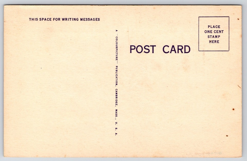 Old Man Running With His Dog "Sorry I Have To Leave In Such A Hurry ...