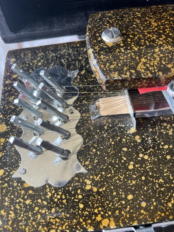 Bulbul Tarang Musical String Instrument Mamola- made in India ...