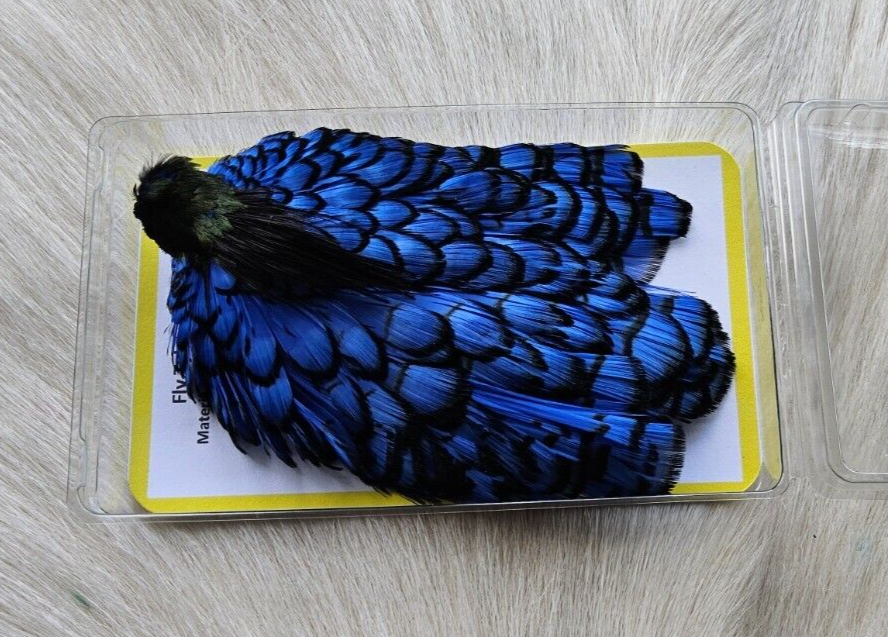 Lady Amherst Cape. Fly Tying Feather. Color; Blue. Grade "A" | eBay