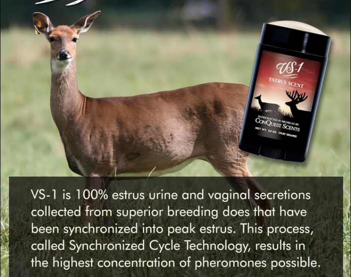 New VS-1 Deer Attractant Scent – Doe in Estrus for Pre-Rut, Rut & Post ...