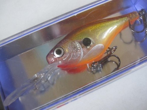 Rapala Glass Shad Wrap Gsr-5 Gpsf lures | eBay