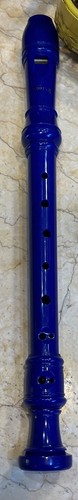 Plastic Blue Woodrige elementary recorder | eBay