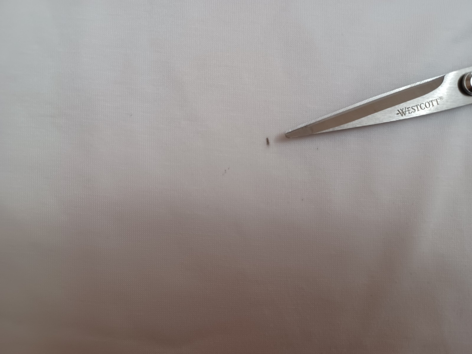 Women's Unity World Wear American Red White & Blue Butterfly 4th of ...