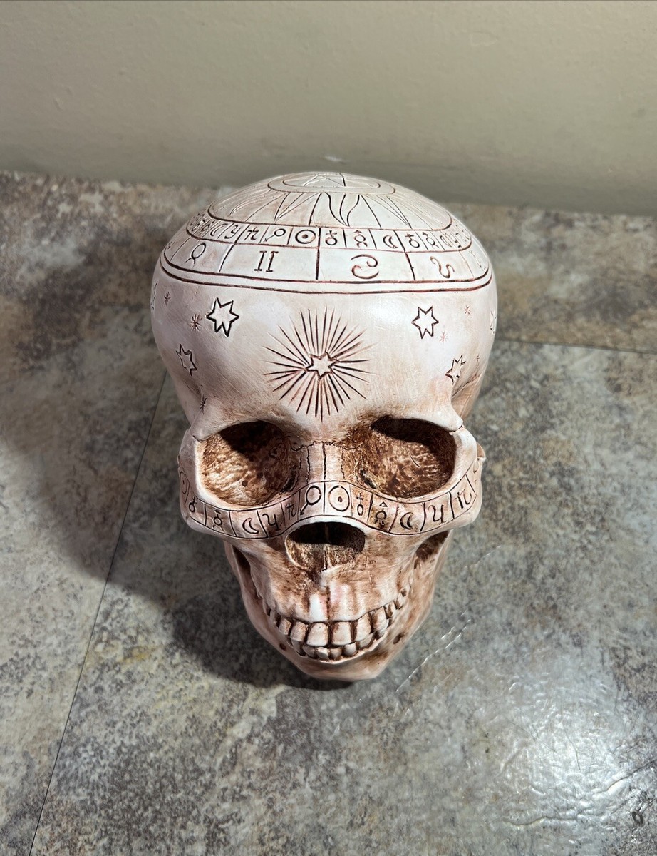 Zodiac skull 60 photos - Astrologytoyou.com