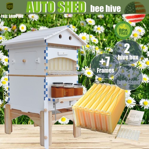 Wooden Auto Shed Bee Hive Beekeeping Bee Box + 7x Bee Hives Frames+ Box ...