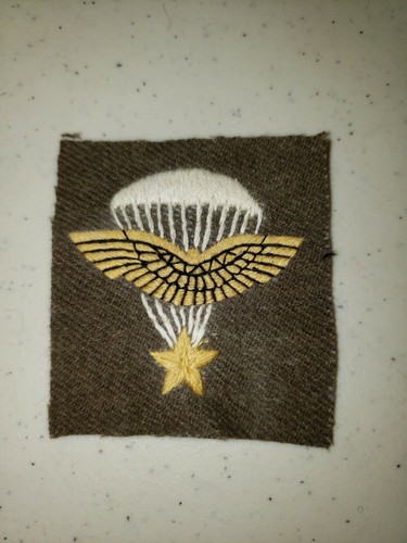 K1036 WW2 France French Army Sleeve Patch Free French Paratroopers ...