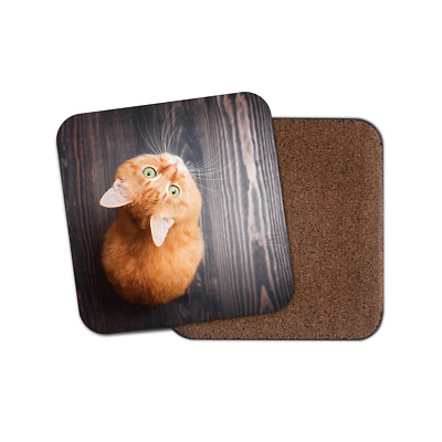 Cute Ginger Kitten Coaster - Cat Cats Mum Sister Auntie Cool Fun Gift ...