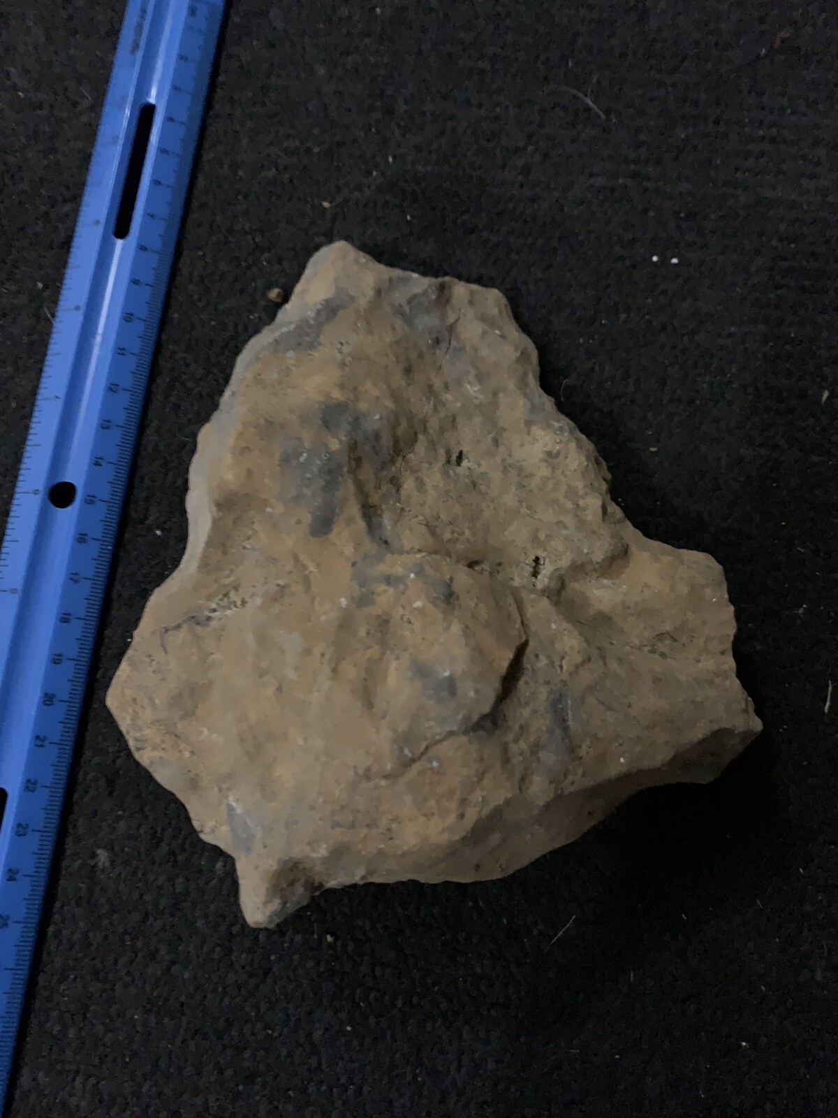 Rare Prehistoric Axe! Several Faces! Portable Rock Art Pre Paleo Stone ...