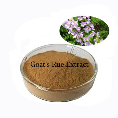 Goat's Rue Extract Powder 30:1 Herbs Powder Extract 100g~500g | eBay