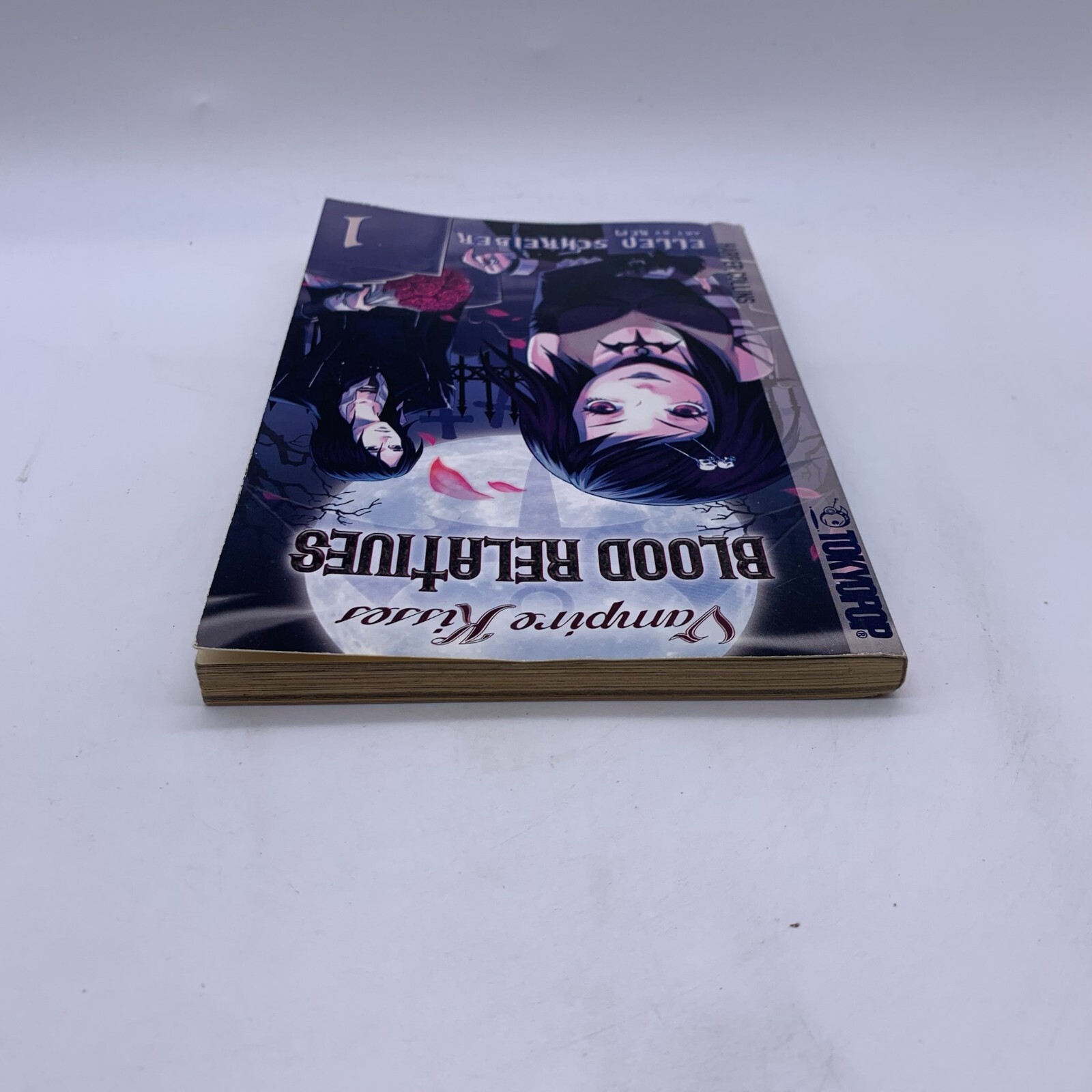 Vampire Kisses Manga Characters