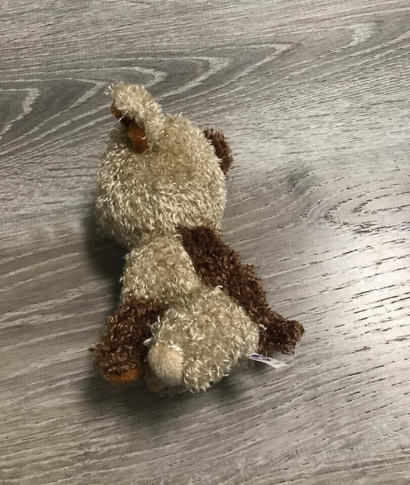 Ty Beanie Boos ROOTBEER the Dog Solid Eyes 6" Purple Tag Plush | eBay