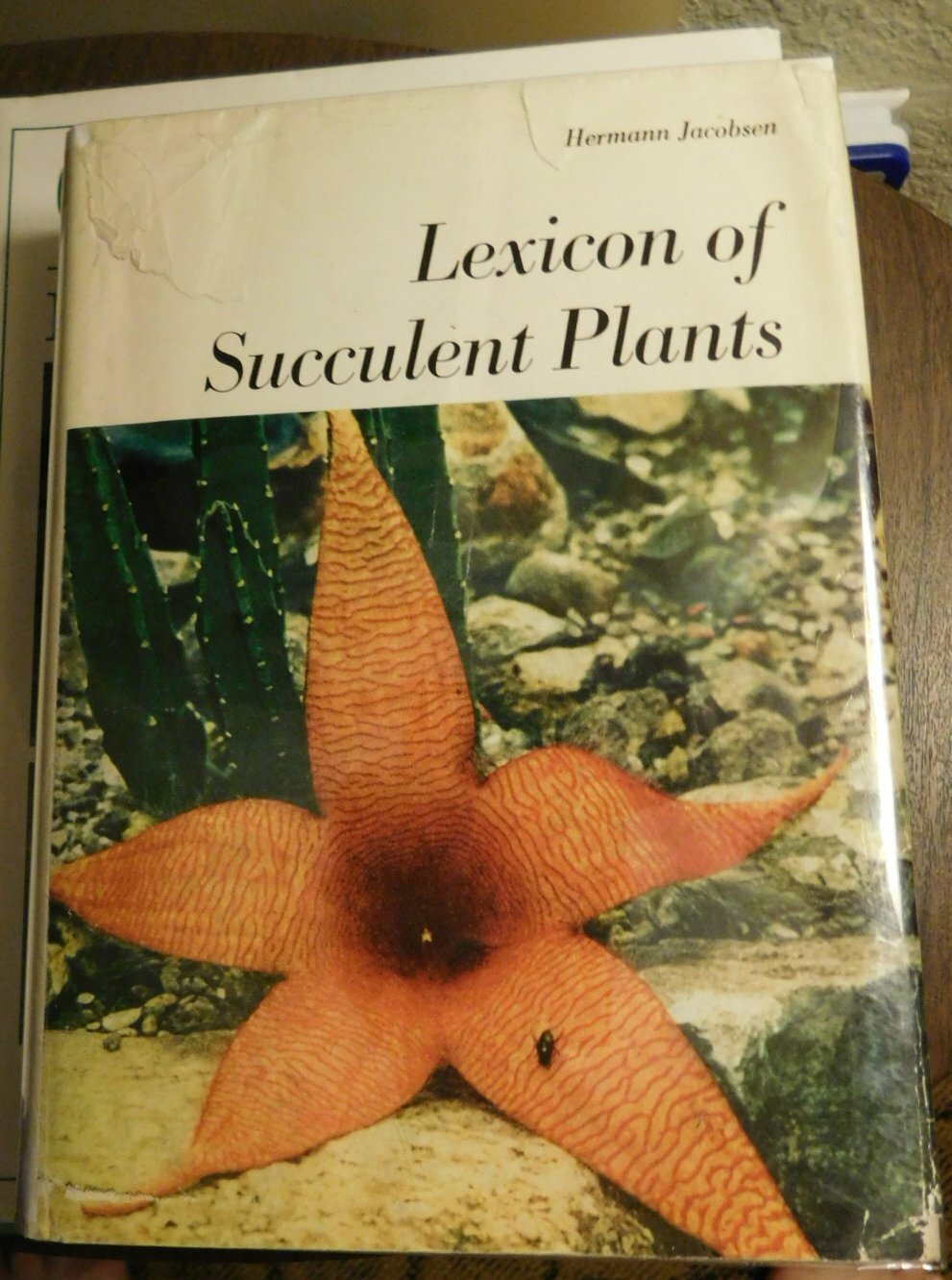 LEXICON OF SUCCULENT PLANTS By Hermann Jacobsen - Hardcover DJ SLIP ...
