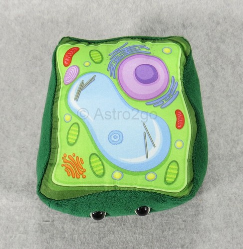 GIANT MICROBES-PLANT CELL-Stuffed Plush Wall Chloroplasts Biology ...