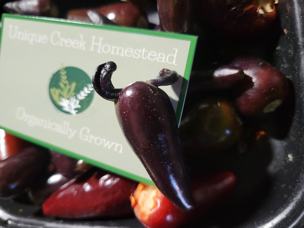 COUNT DRACULA Pepper Seeds 25,000-50,000 Scoville SHU Vampire HOT Chili ...