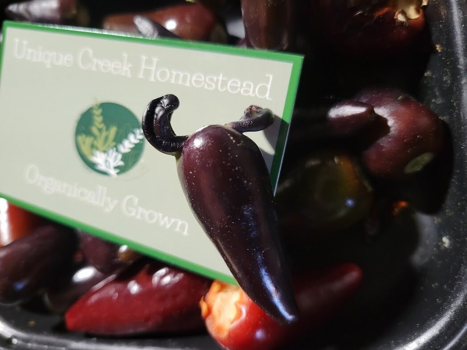 COUNT DRACULA Pepper Seeds 25,000-50,000 Scoville SHU Vampire HOT Chili ...