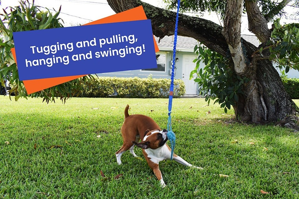 Fenidog Outdoor and Indoor Bungee Hanging Dog Toy, Interactive Tether ...