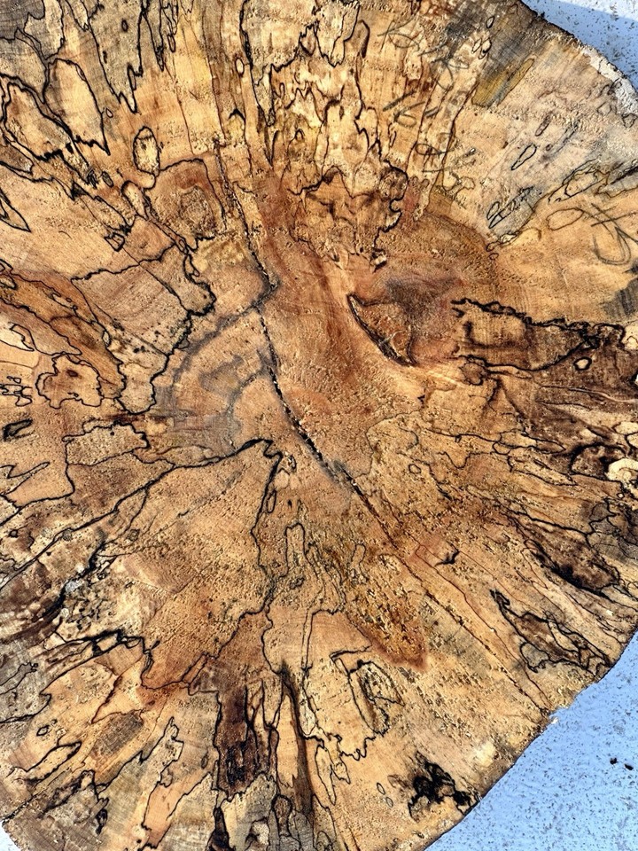 S3 Spalted Black Line Maple Tree Slice Round 16x2.5-3 12%Mc Epoxy ...