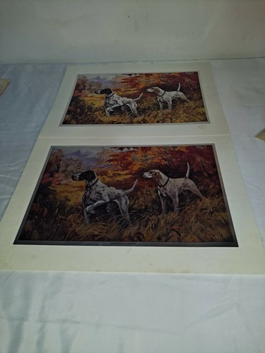 Pair of Stanford Fenelle Honoring A Point Hunting Dogs Color Foil Etch ...