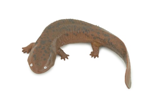 Giant Salamander Toy Model, Hand Painted Rubber Realistic 4 Inches ...