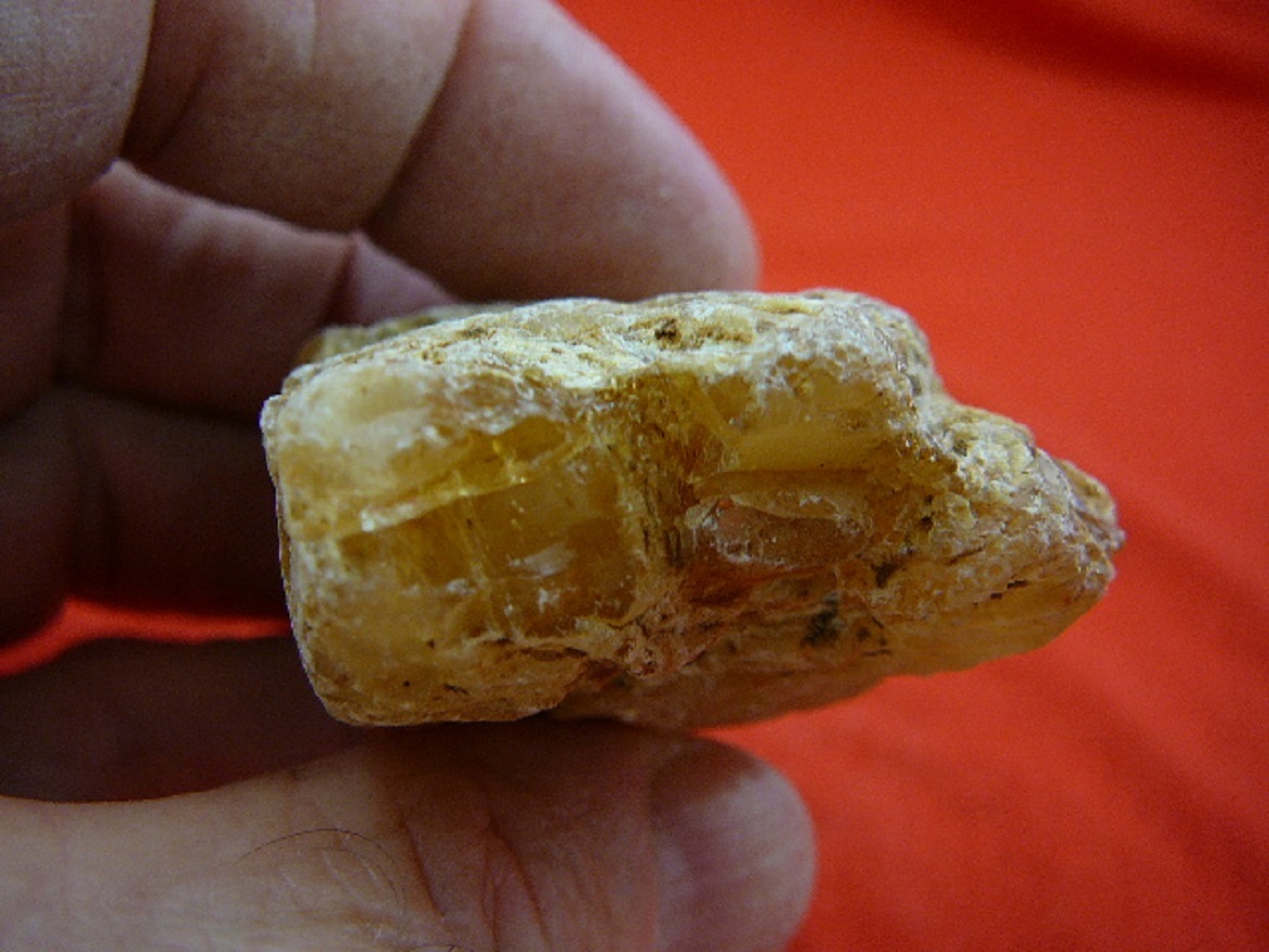 (k-3163) 35 g Rare Kauri tree Gum copal young Amber New Zealand Tane ...