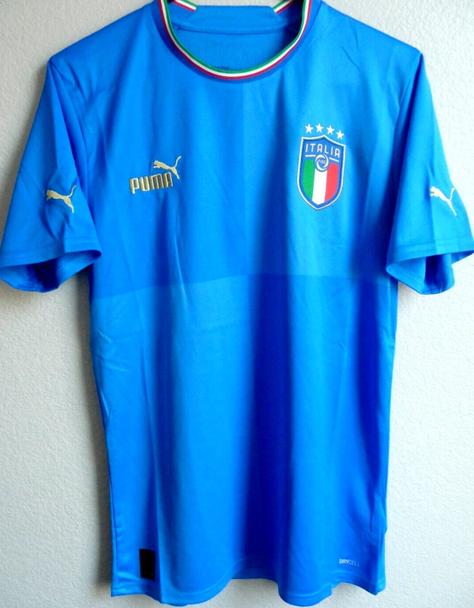 Puma Italy Soccer Logo