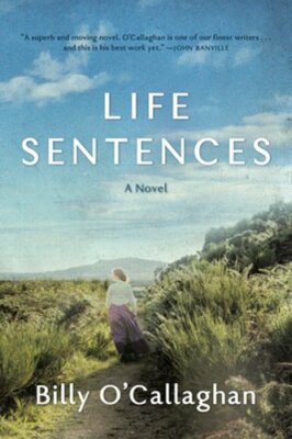 Life Sentences by Billy O'Callaghan: New 9781567927320| eBay