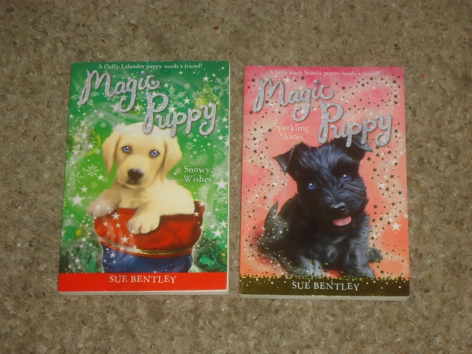 Lot 21 Sue Bentley Magic Bunny Kitten Ponies Puppy Chapter Books | eBay