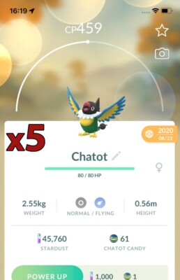 5x Chatot Pokemon Bundle !! Good Chance of Lucky and Good IVs !! Go | eBay