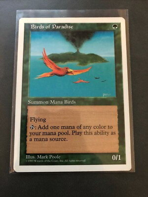 MTG - BIRDS OF PARADISE - 5th EDITION MINT!! WHITE BORDER | eBay Australia