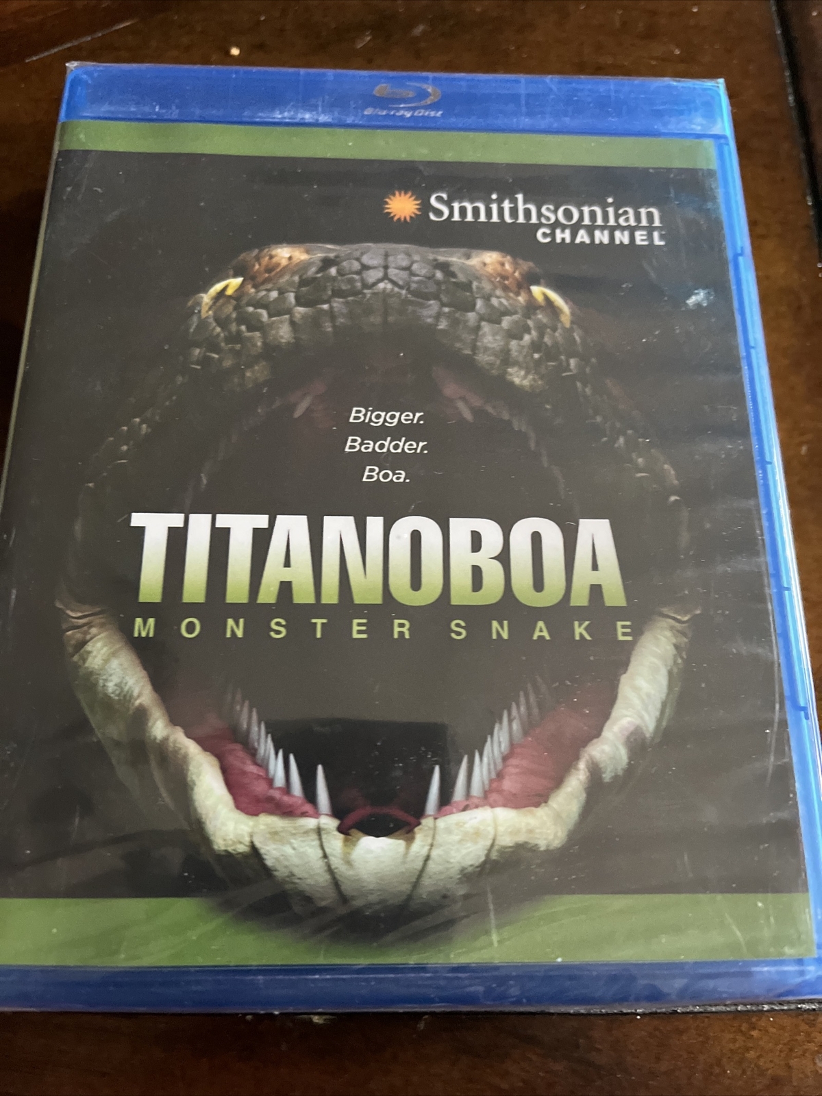 Prehistoric Snake Titanoboa