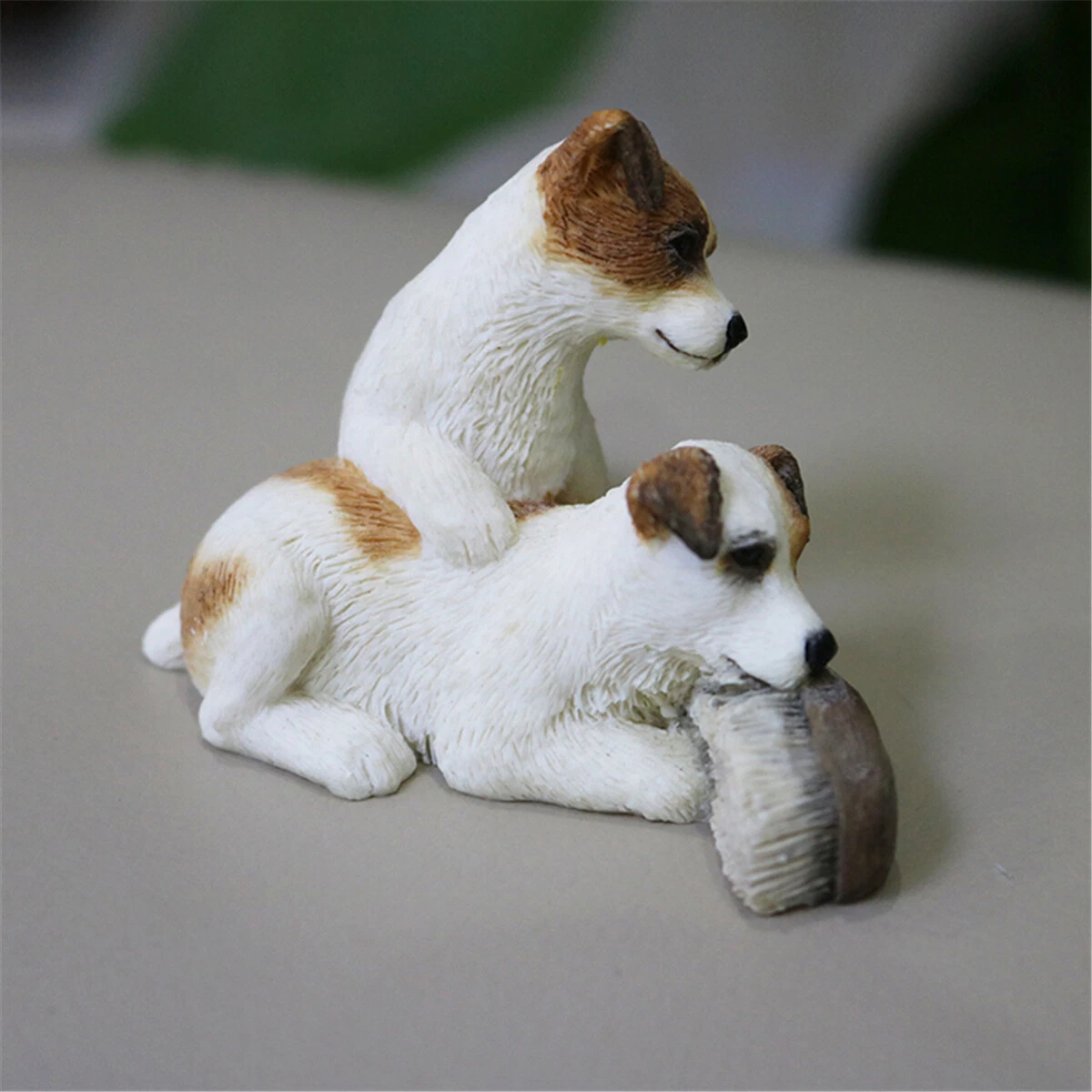 Toy Jack Russell Terrier