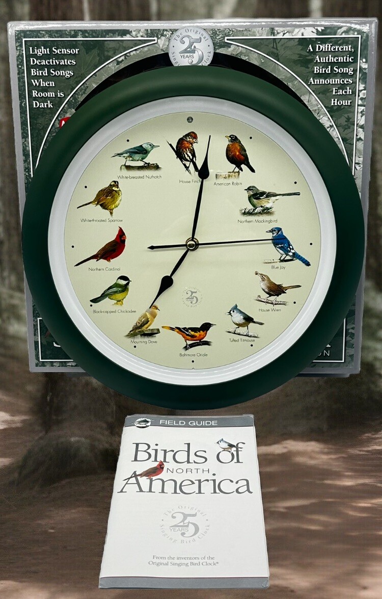 Análisis de las mejores opciones para aprender las horas del reloj ...