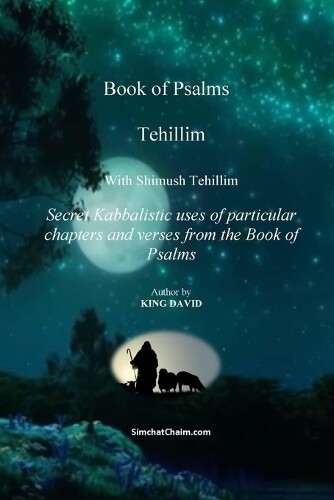 David King Tehillim - Book of Psalms With Shimush Tehillim (Poche ...