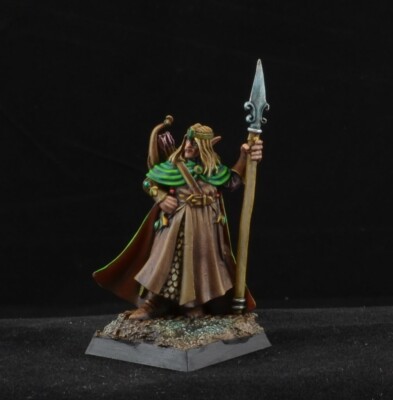 Painted Elf Ranger from Reaper Miniatures, male D&D character spear bow ...