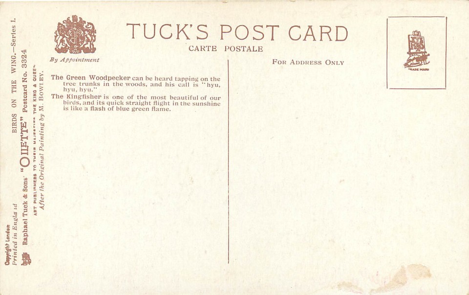 Tuck Postcard Birds on the Wing Series 1 Green Woodpecker Kingfisher ...