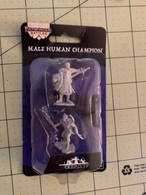 Pathfinder Deep Cuts: Male Human Champion (90263) NIB NEW | eBay