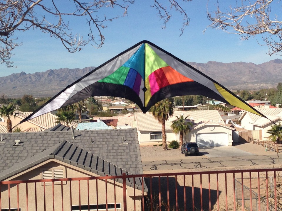 Stunt Kite Dual Line 102"x30" RipStop Nylon + Carbon Wrap Spars + 2 ...