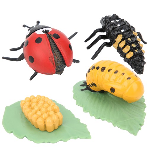 Simulation Insect Model Ladybug Insect Model Toy Insect Model Toy For ...