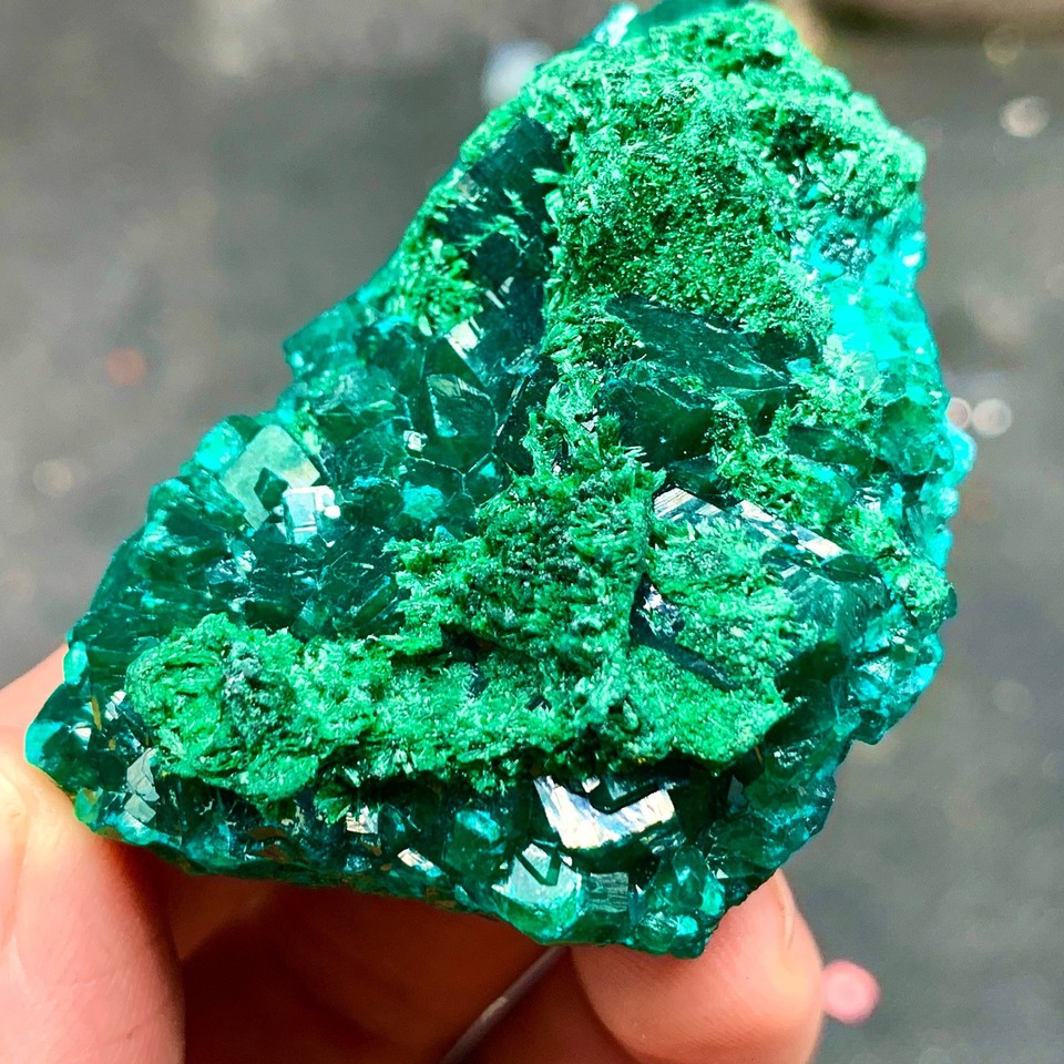 55G Natural green dioptase emerandine gemstone cluster mineral specimen ...