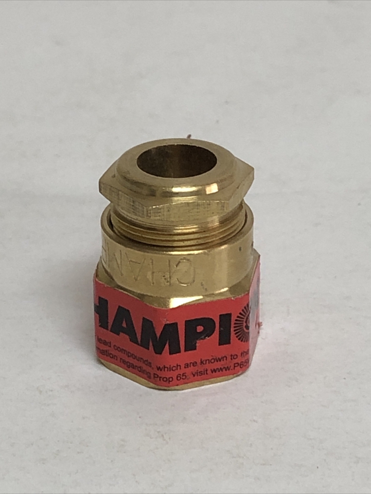 Champion B6F Adjustable Bubbler Brass Sprinkler Head 1/2 Dia. x 1 L in ...