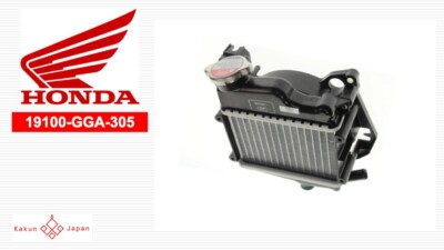HONDA OEM 19100-GGA-305 2006 - 2024 RUCKUS 50 NPS50 RADIATOR ASSY from ...