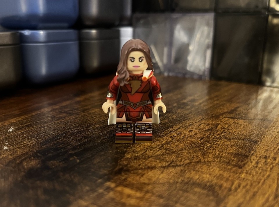 Mr. Tree Brick Lady Shazam | Custom LEGO Minifigure | eBay